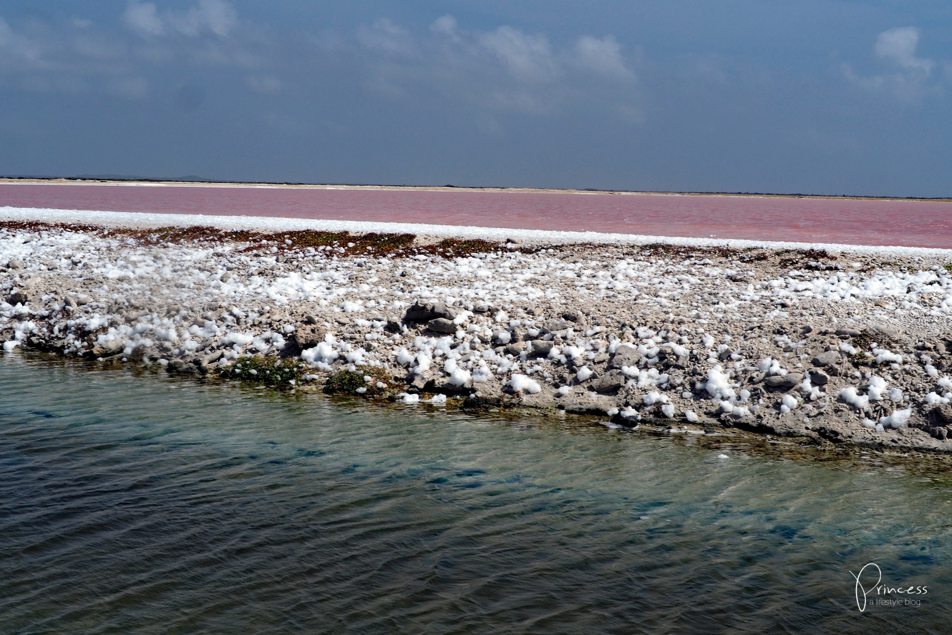 ABC Inseln in der Karibik: Aruba, Bonaire und Curacao | princess.ch